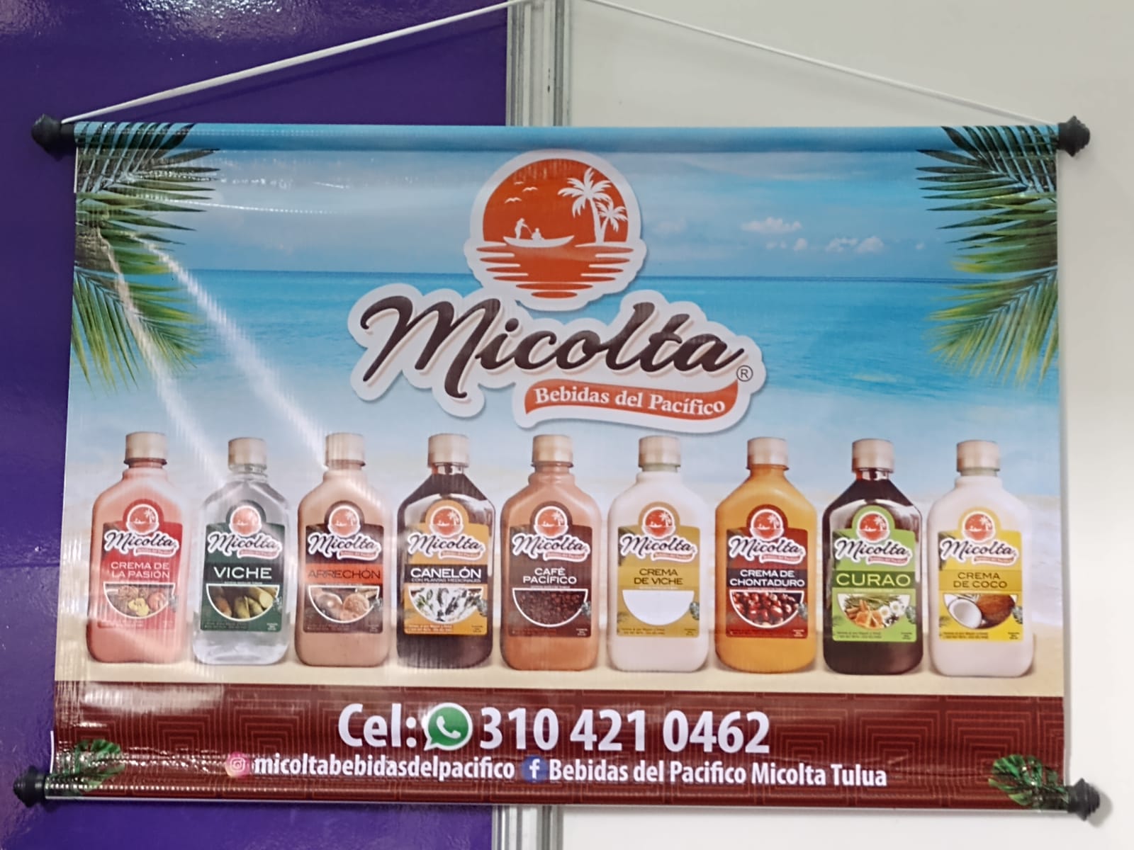 MICOLTA BEBIDAS DEL PACÍFICO